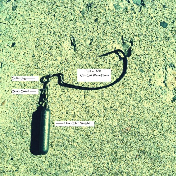 Jika Rig - Kraken Bass