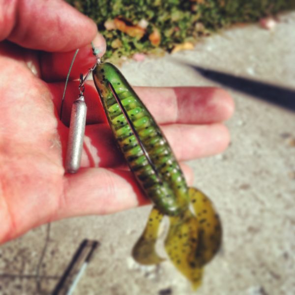 Top 5 Spring Bass Baits - Kraken Bass