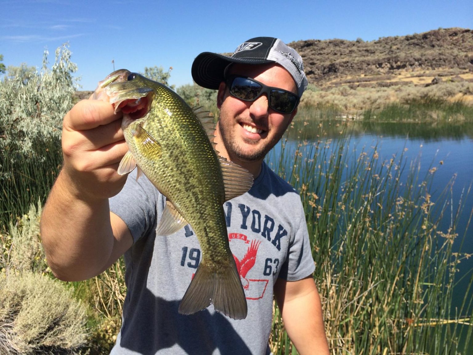 Best 5 Drop Shot Baits - Kraken Bass