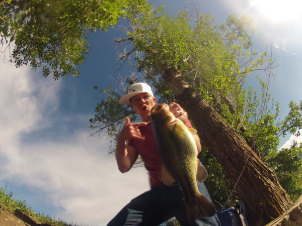 Top 5 Spring Bass Baits - Kraken Bass