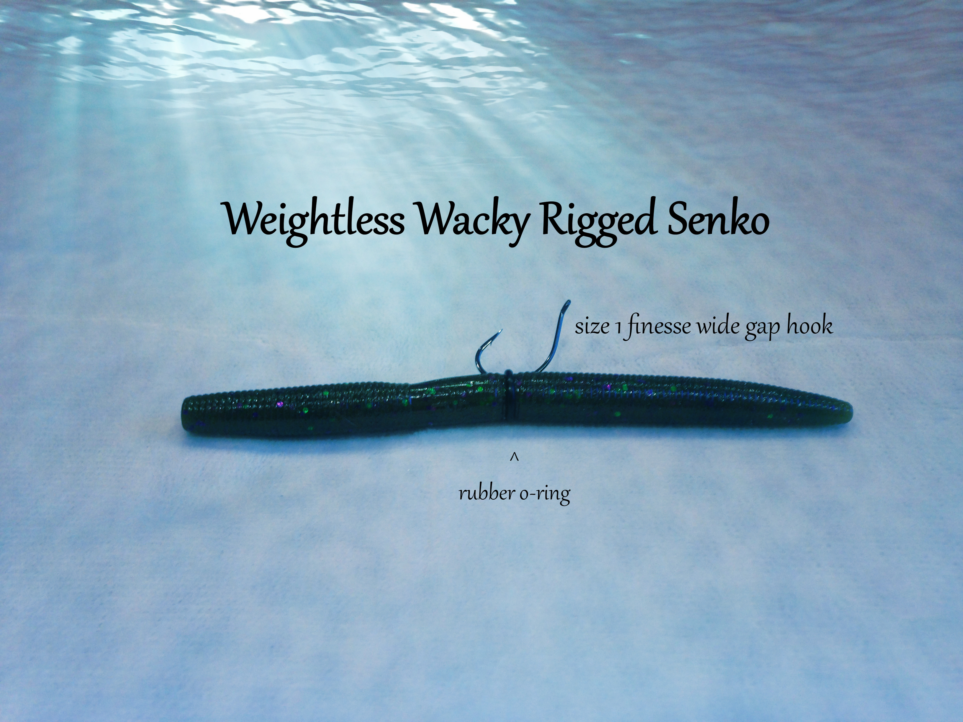 wacky rigged senko