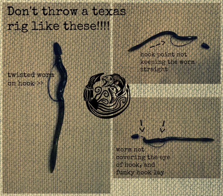 Texas Rig Fishing Tips to Catch More Bass. - Kraken Bass