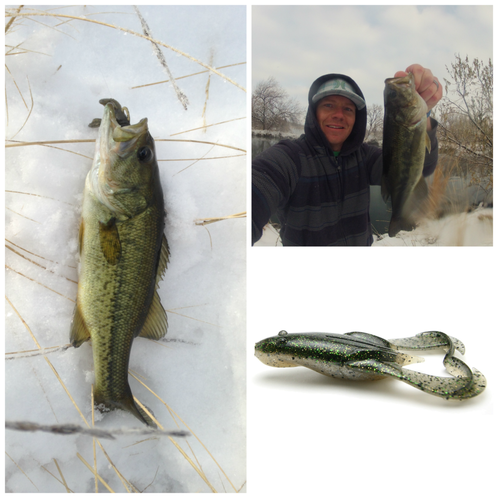 Best 3 Bass Fishing Topwater Baits - Kraken Bass