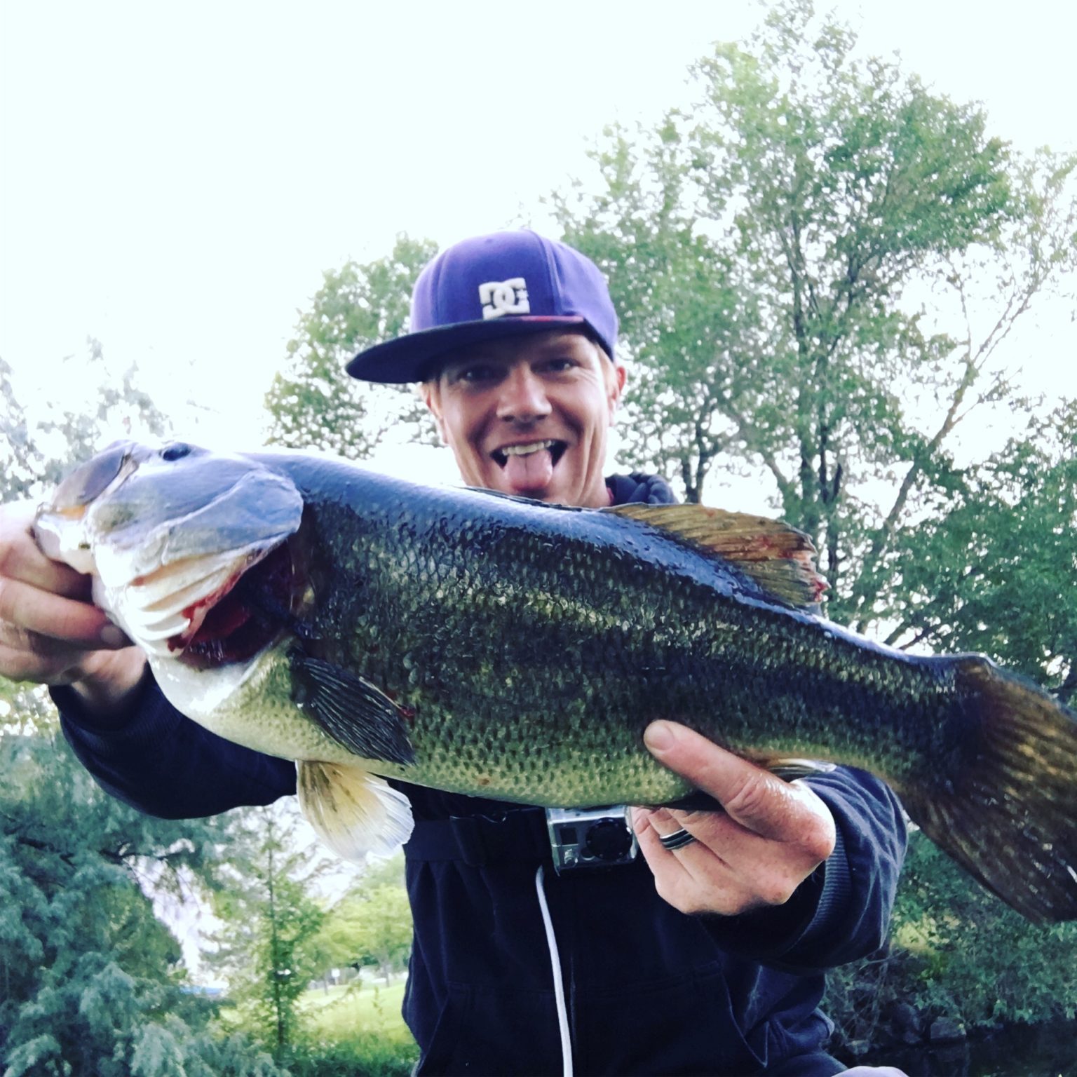 Knowing What to Use Bass Fishing - Part 1: Seasonal Bass Behavior ...
