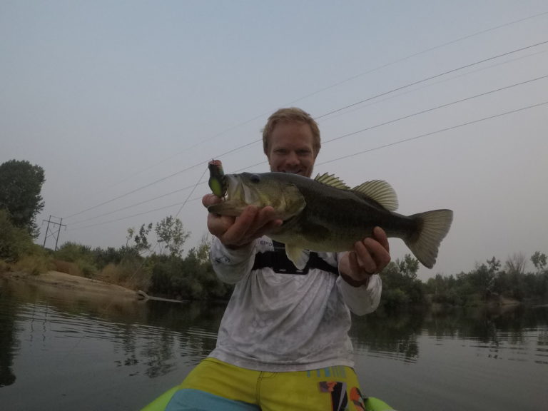 Boise Fishing Ponds - Caldwell Rotary Pond Largemouth Bass - Kraken Bass