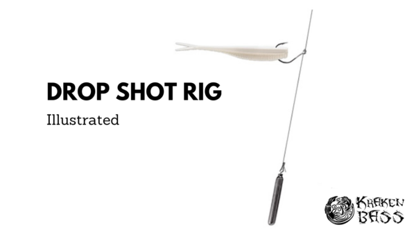 Why Drop Shot Rigs Work Like Magic for Bass - Kraken Bass