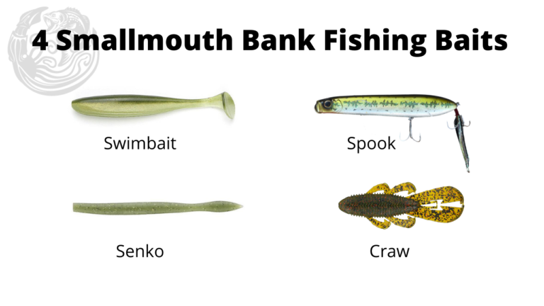 3 Successful Strategies Bank Fishing For Smallmouth Bass - Kraken Bass