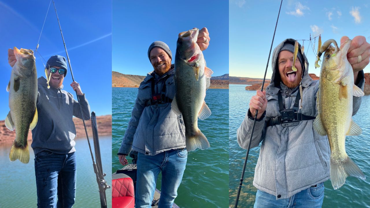 The Alabama Rig: A Comprehensive Guide for Bass Fishermen - Kraken Bass